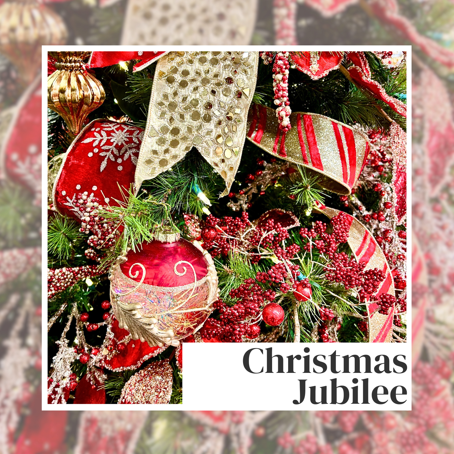 Christmas Jubilee – David Christopher's