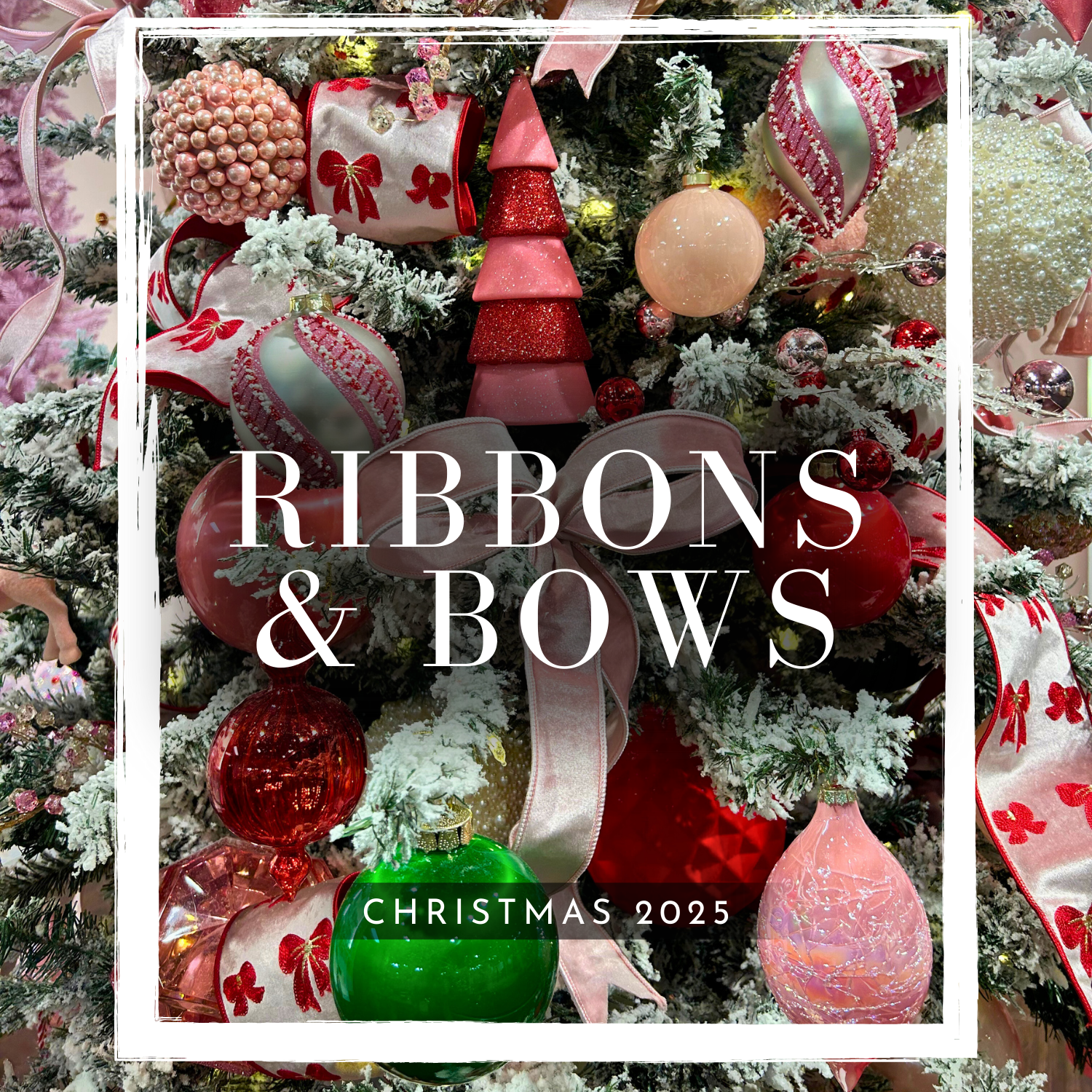 Ribbons & Bows - 2025 – David Christopher's