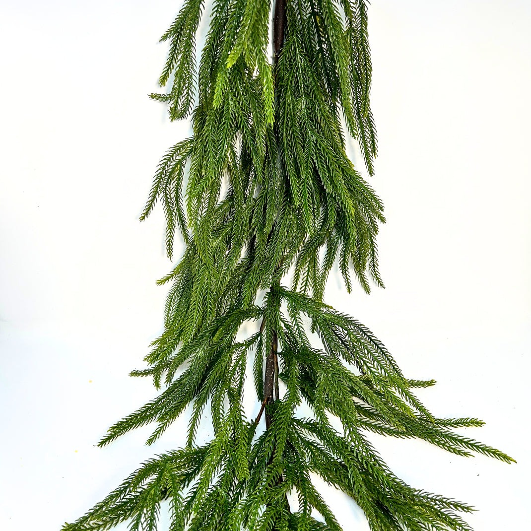 Welcome to David Christopher's!