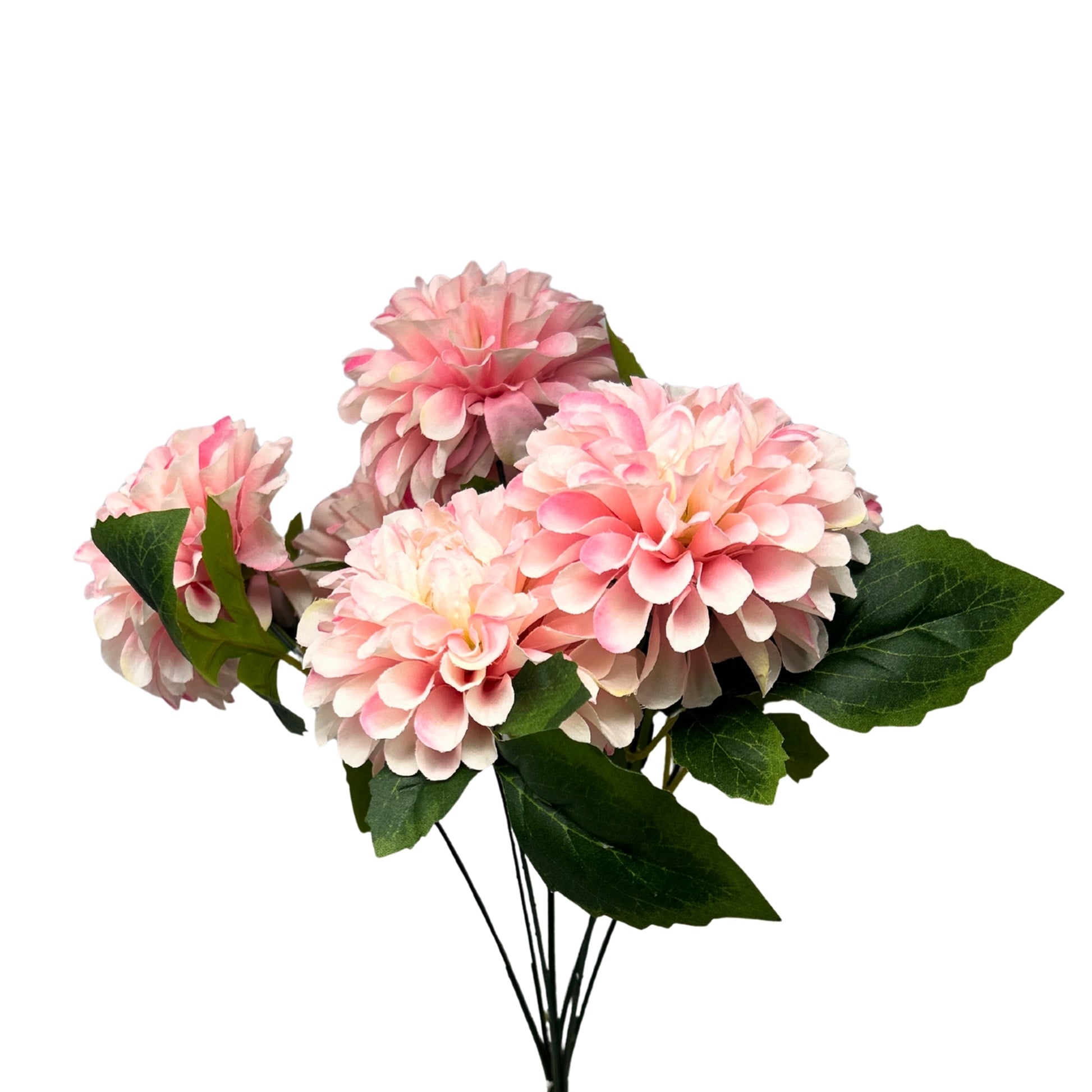 Pom Pom Dahlia Bush x7 - Light Pink - 17" | GTE – David Christopher's