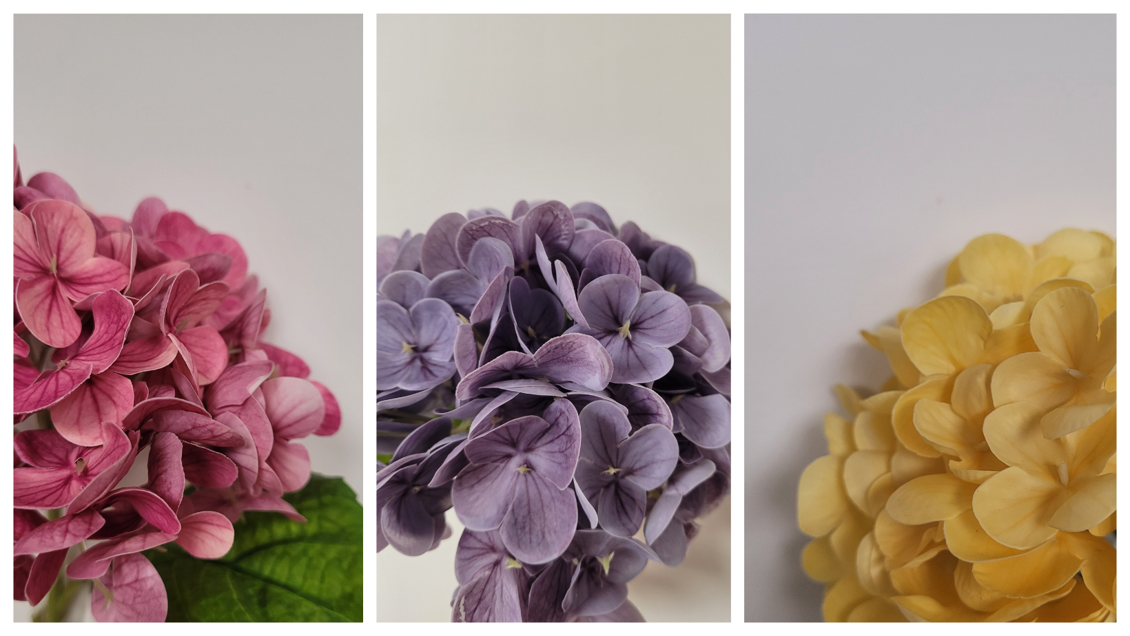 Welcome to David Christopher's!